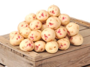 Growing Potatoes - Greenland Garden Centre